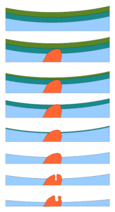 The Formation of Kopjes in the Serengeti - Serengeti National Park